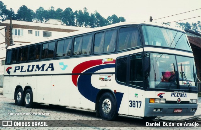 Pluma Conforto e Turismo 3817 em Joinville por Daniel Budal de Araújo - ID:7700018 - Ônibus Brasil